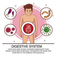 Digestive system infographic Royalty Free Vector Image