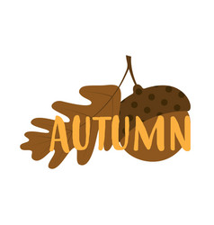 Autumn acorn october Royalty Free Vector Image