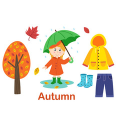 Set cartoon autumn elements Royalty Free Vector Image