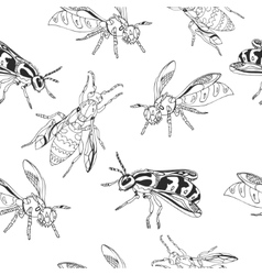 Bee fly background pattern Royalty Free Vector Image