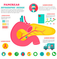 Infographic poster with pancreas and human body Vector Image