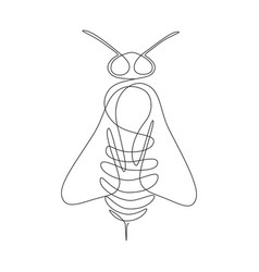 Continuous one line drawing honey bee Royalty Free Vector