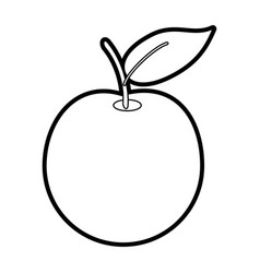 Apple Uncolored Vector Images (41)