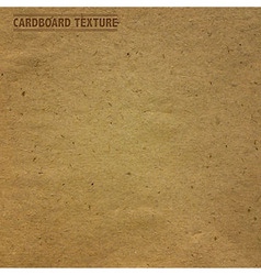 Paper overlay texture Royalty Free Vector Image
