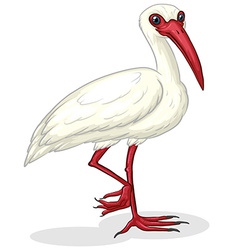 One single line drawing adorable ibis Royalty Free Vector