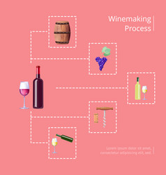 Wine production process stages production Vector Image