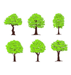 Pine tree Royalty Free Vector Image - VectorStock
