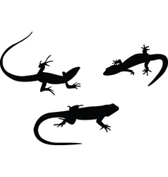 Diagram showing body part lizard Royalty Free Vector Image