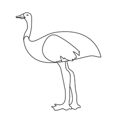 Emu Vector Images (over 1,300)