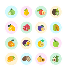 Half fruits apricot cherry strawberries peach Vector Image