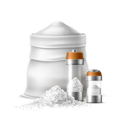 Sea salt in jute sack Royalty Free Vector Image