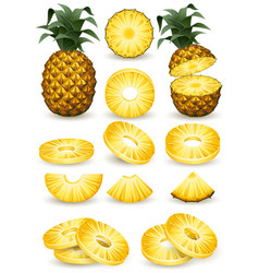 Pineapple cocktail Royalty Free Vector Image - VectorStock