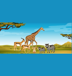 Wild animal in the jungle Royalty Free Vector Image