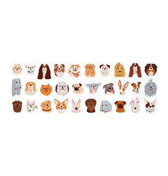 Profile dogs icon set Royalty Free Vector Image