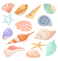 Cartoon shell colored Royalty Free Vector Image