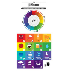Ph scale universal indicator ph color chart Vector Image