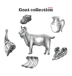 Cornucopia horn plenty sketch engraving Royalty Free Vector