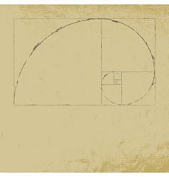 Fibonacci golden ratio Royalty Free Vector Image
