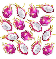 Dragon fruit pattern realistic summer Royalty Free Vector