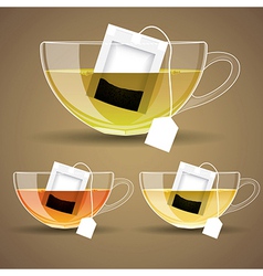 Turmeric tea Royalty Free Vector Image - VectorStock