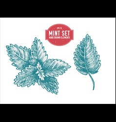 Collection summer phrases slogans or quotes Vector Image