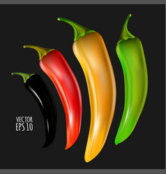 Cayenne pepper elements set Royalty Free Vector Image