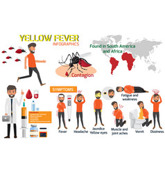 Yellow fever infographic elements symptoms Vector Image