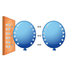 Diagram showing electrostatic with balloons Vector Image