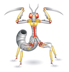 Mantis Vector Images (over 1,600)