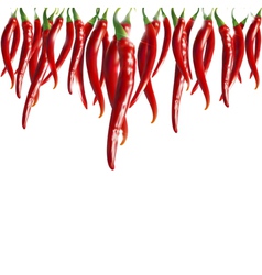 Hot Peppers Vector Images (over 20,000)
