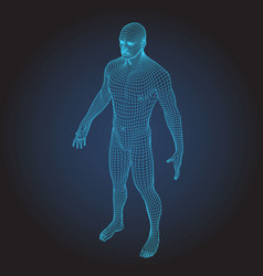 Low poly wireframe human body abstract Royalty Free Vector