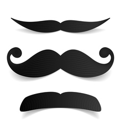 Fake mustaches Royalty Free Vector Image - VectorStock