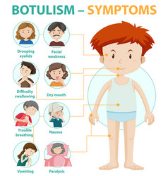 Botulism symptoms information infographic Vector Image