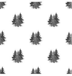 Canadian spruce canada single icon in outline Vector Image