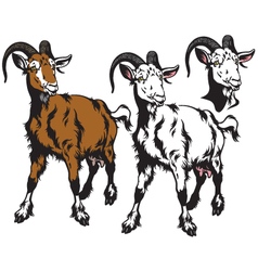 Goat Royalty Free Vector Image - VectorStock