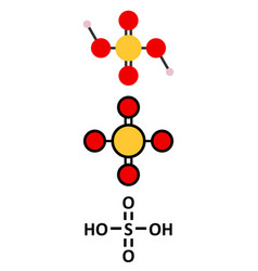 Sulfuric acid h2so4 strong mineral acid molecule Vector Image