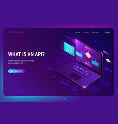 Programming and coding website development Vector Image