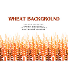 Wheat seamless pattern agriculture background Vector Image