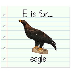 Eagle Flashcard Vector Images (17)
