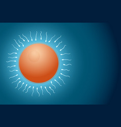 Reproduction process human infographic Royalty Free Vector