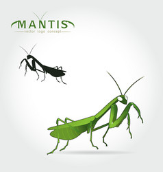 Mantis Vector Images (over 2,000)