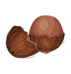 Coir Vector Images (over 100)
