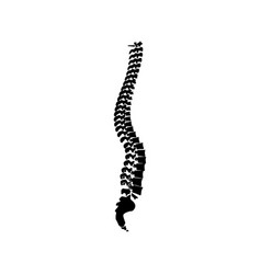 Spine Vector Images (over 13,000)