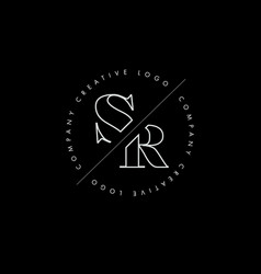 Alphabet Letter R Written Vector Images (84)