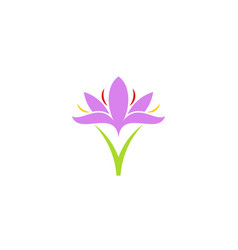 Purple crocus Royalty Free Vector Image - VectorStock