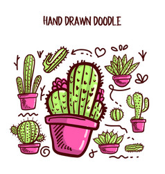 Cactus and succulent set Royalty Free Vector Image