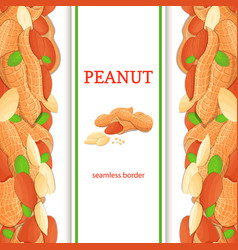 Pecan nut vertical seamless border Royalty Free Vector Image