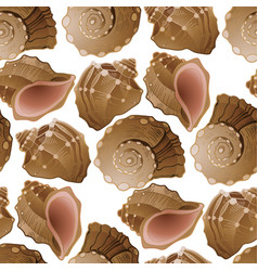 Graphic seashells pattern Royalty Free Vector Image