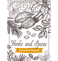 Cartoon Herb Spices Vector Images (over 3,100)