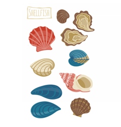 Cartoon shell colored Royalty Free Vector Image